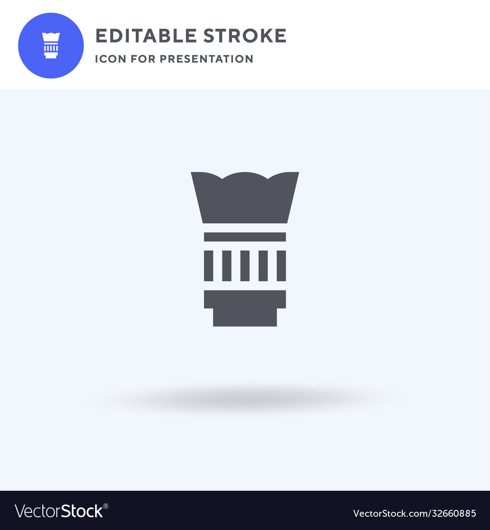 Lens icon filled flat sign solid Royalty Free Vector Image