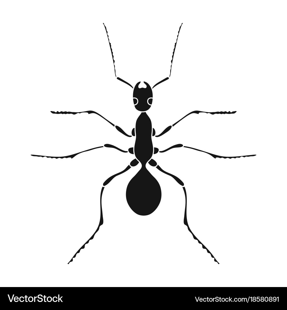 Insect ant single icon in black style for design Vector Image