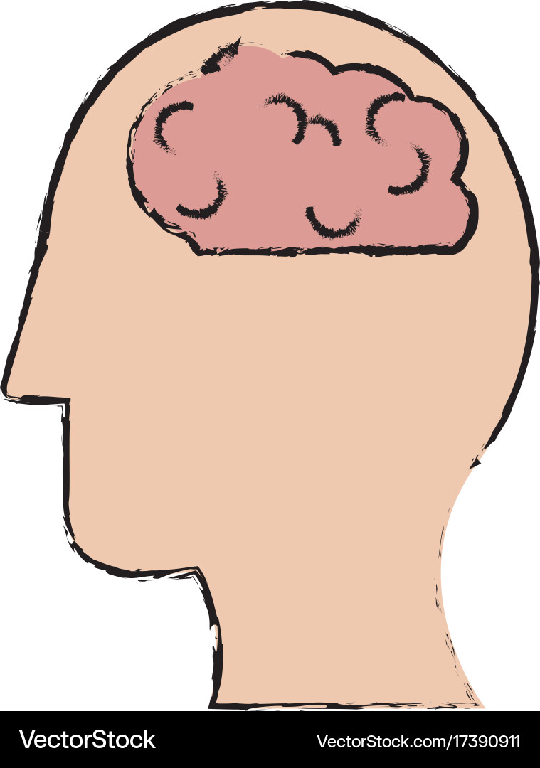 Human brain icon Royalty Free Vector Image - VectorStock