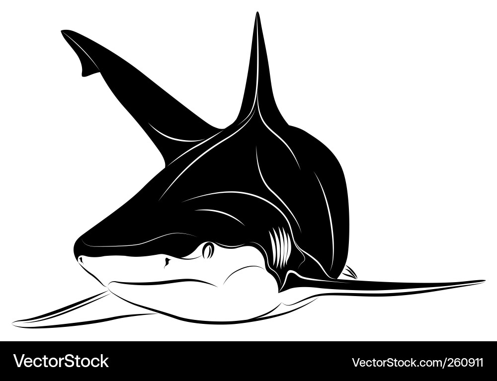 Shark Royalty Free Vector Image - VectorStock