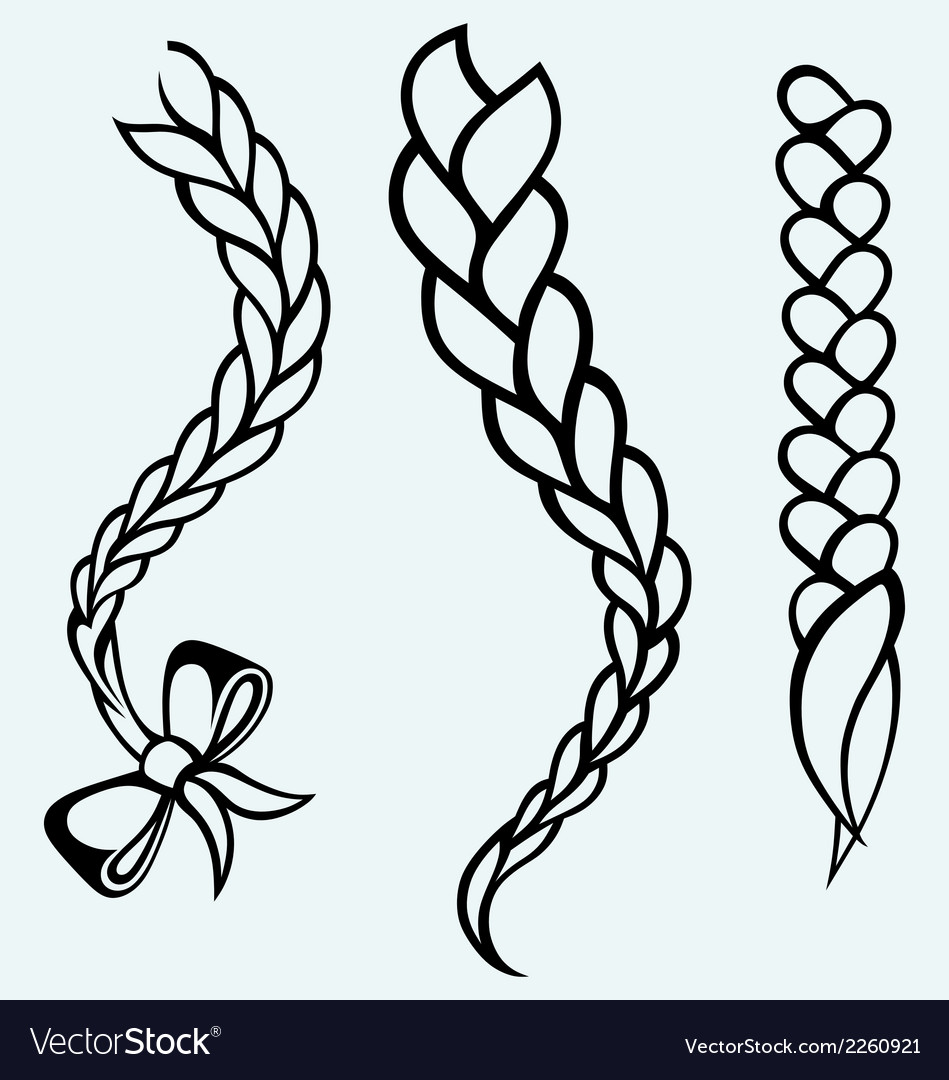Hair braided Royalty Free Vector Image - VectorStock