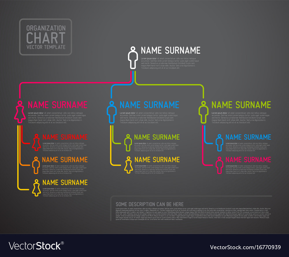 Modern organization chart template made from thin Vector Image