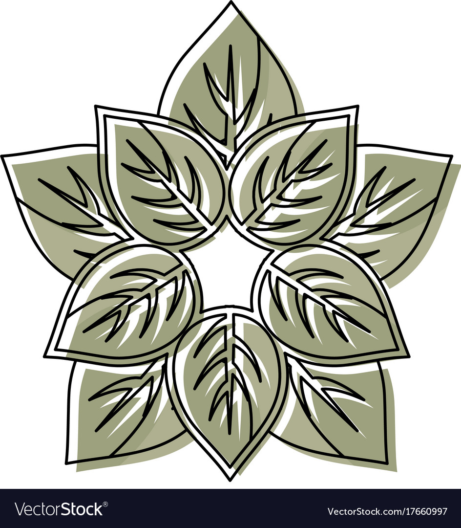 Leaf design Royalty Free Vector Image - VectorStock
