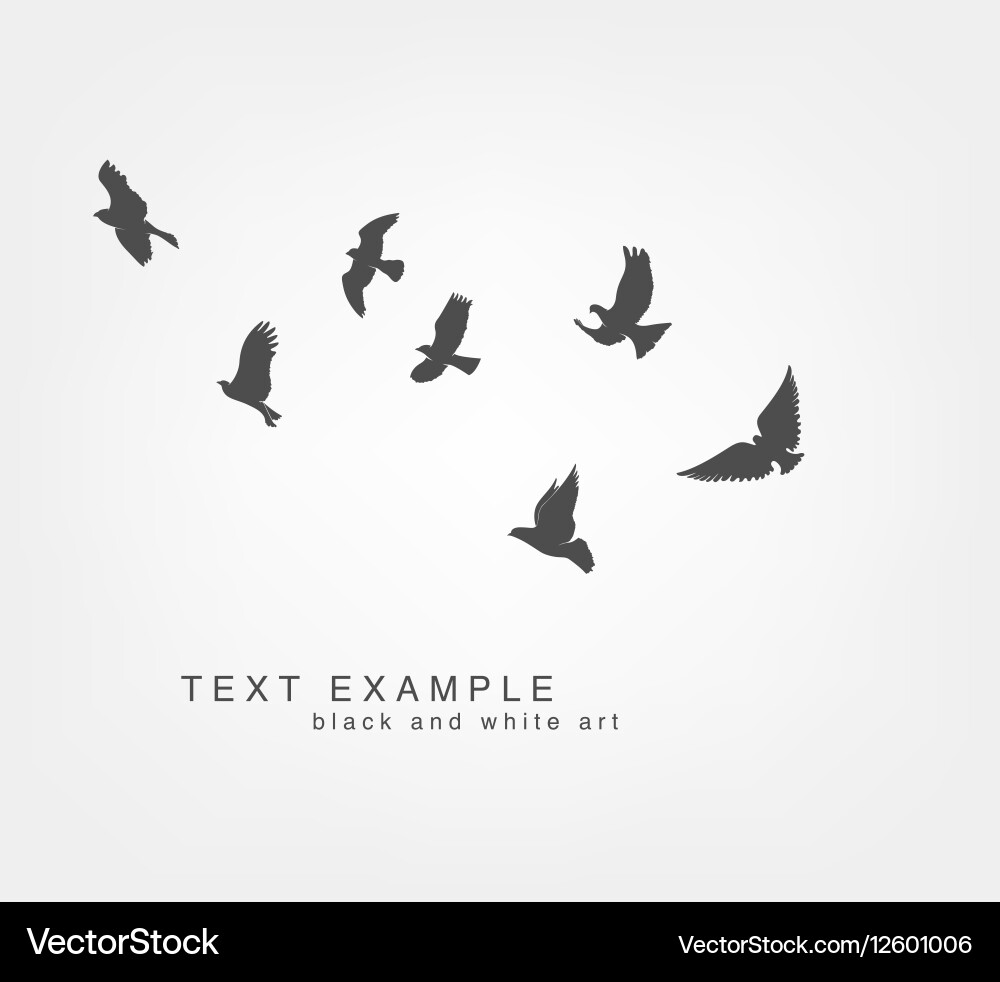 Dark figures flying birds Royalty Free Vector Image