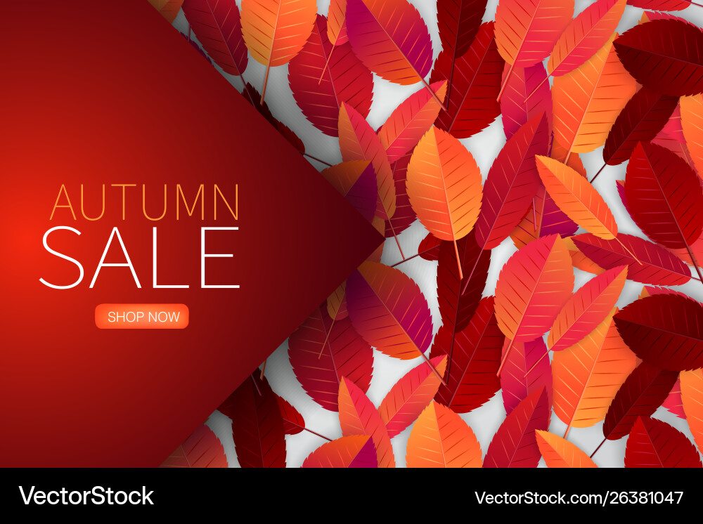 Autumn leaves background wallpaper Royalty Free Vector Image
