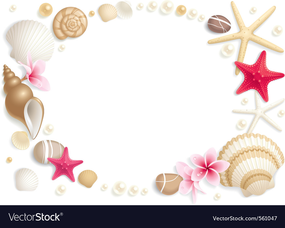 Seashell frame Royalty Free Vector Image - VectorStock