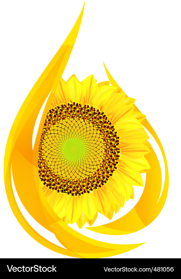 Sunflower oil Royalty Free Vector Image - VectorStock