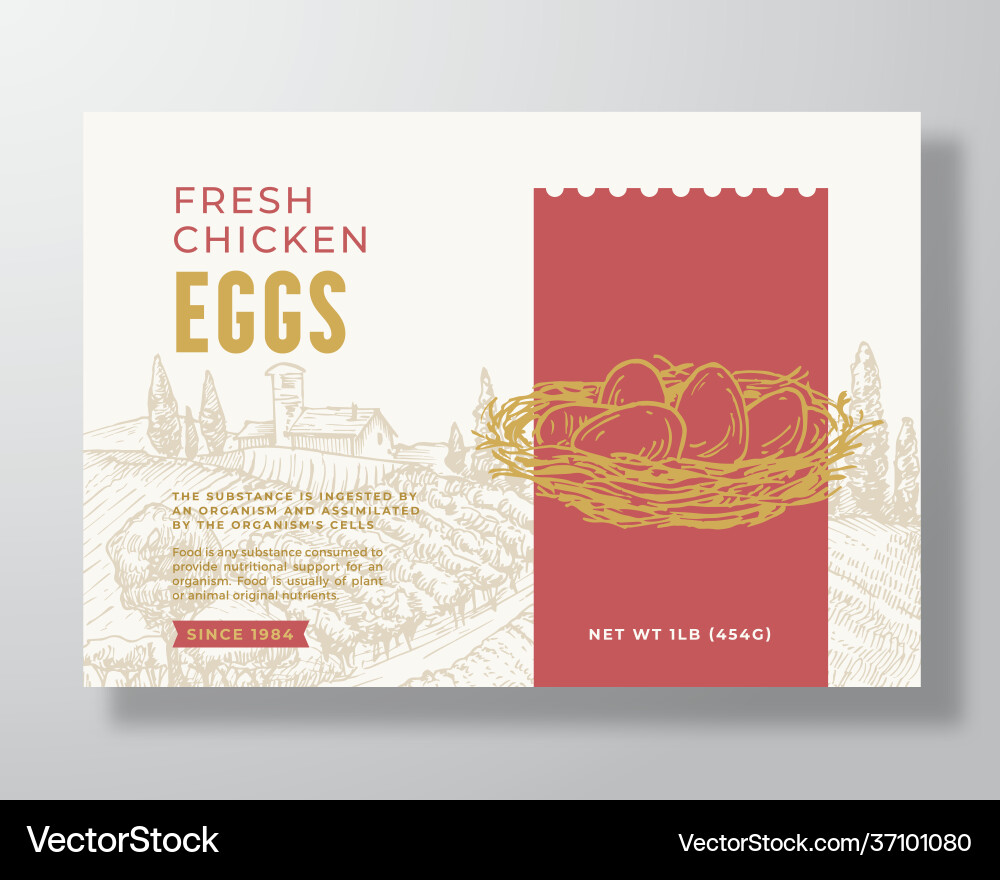 Fresh chicken eggs food label template abstract Vector Image