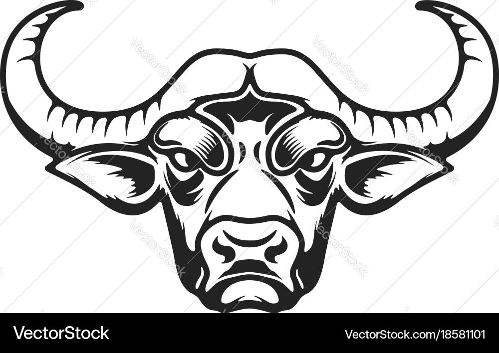 Buffalo head icon on white background Royalty Free Vector