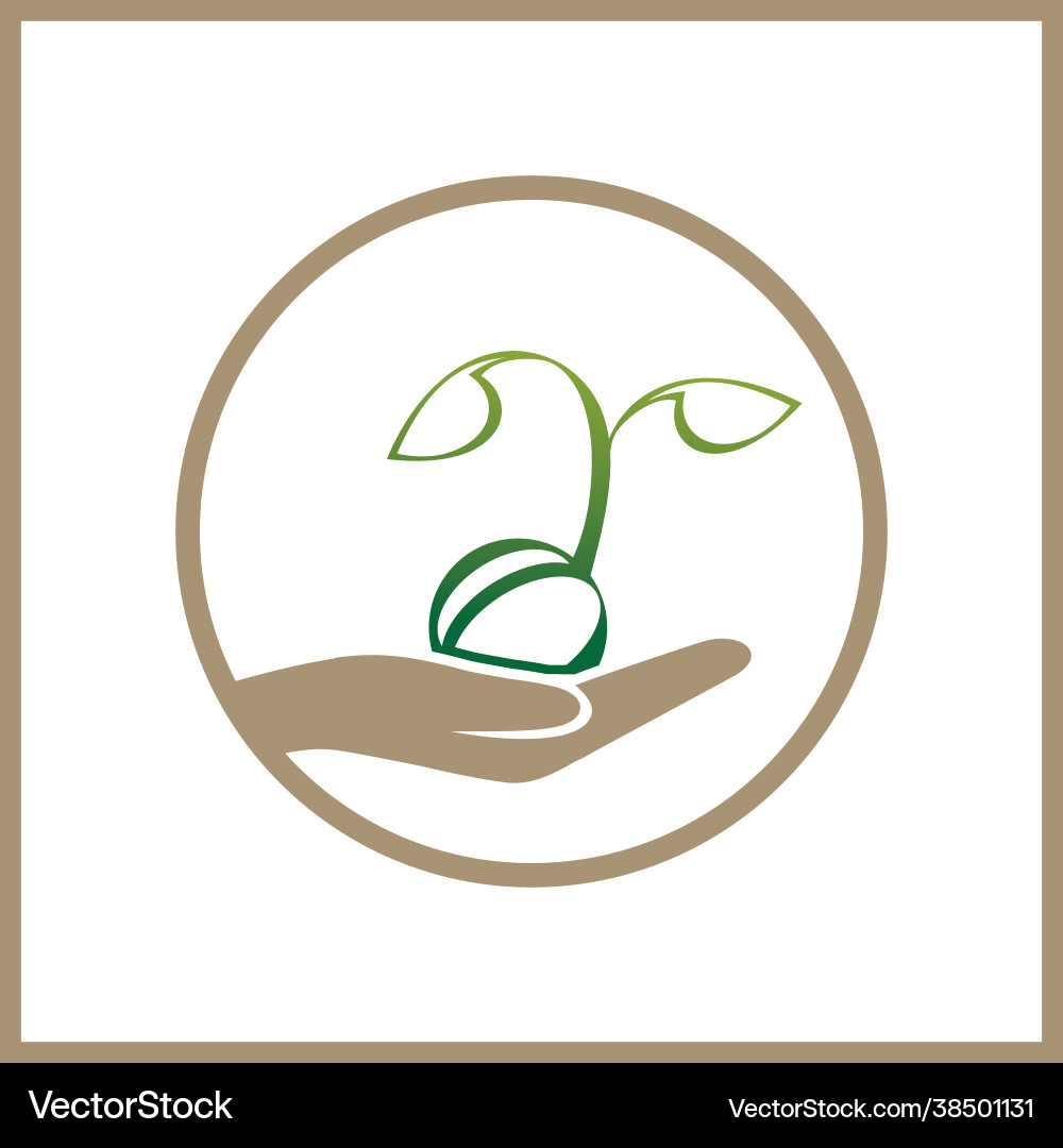 Small leafy green seedlings on ground Royalty Free Vector