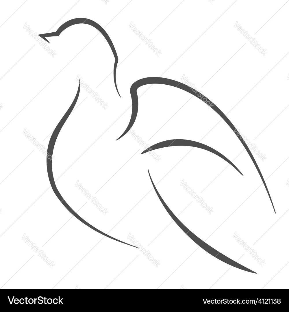 Dove outline Royalty Free Vector Image - VectorStock