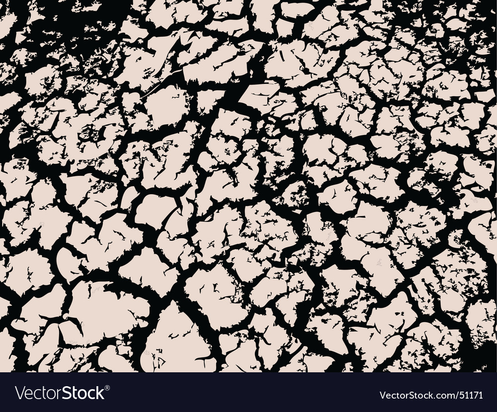 Crackle texture Royalty Free Vector Image - VectorStock