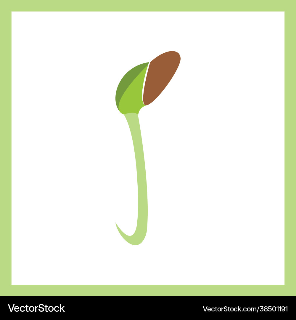 Small leafy green seedlings on ground Royalty Free Vector