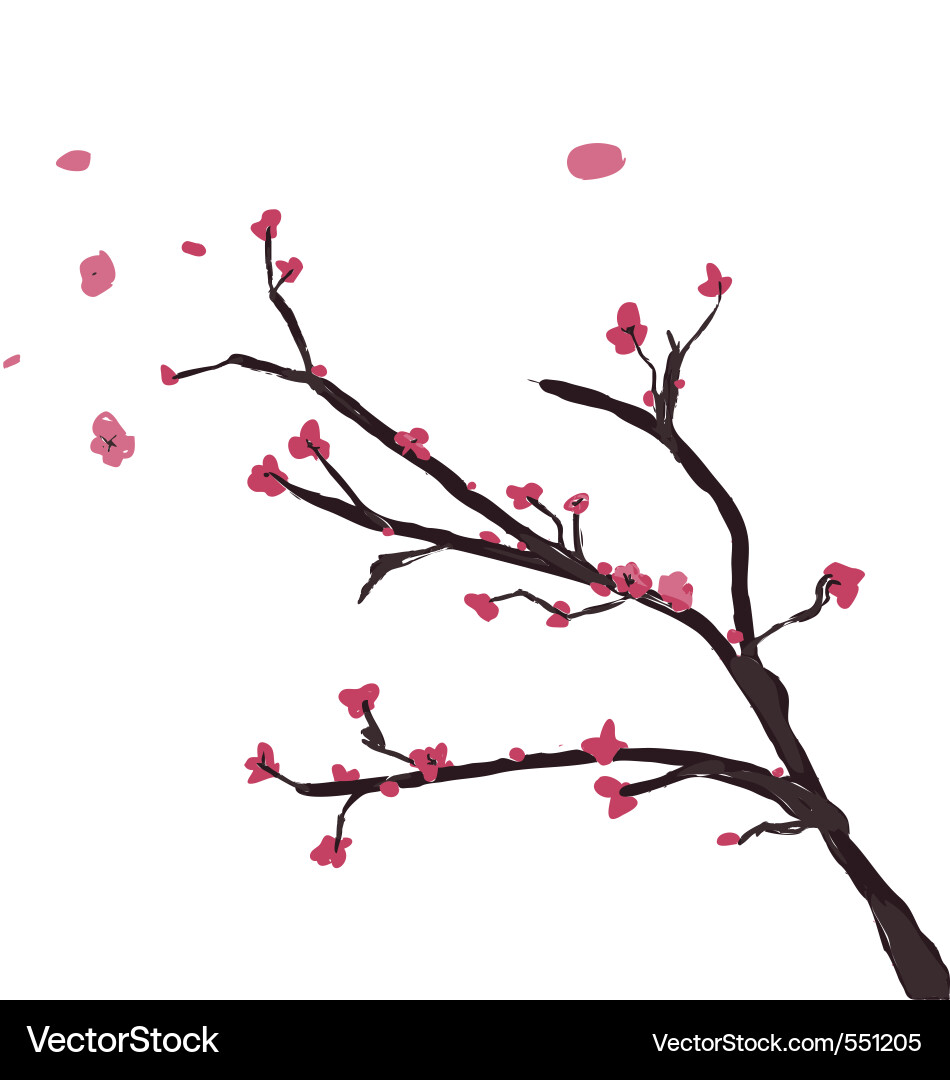 Cherry blossom Royalty Free Vector Image - VectorStock