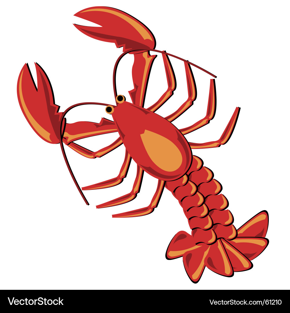 Lobster Royalty Free Vector Image - VectorStock