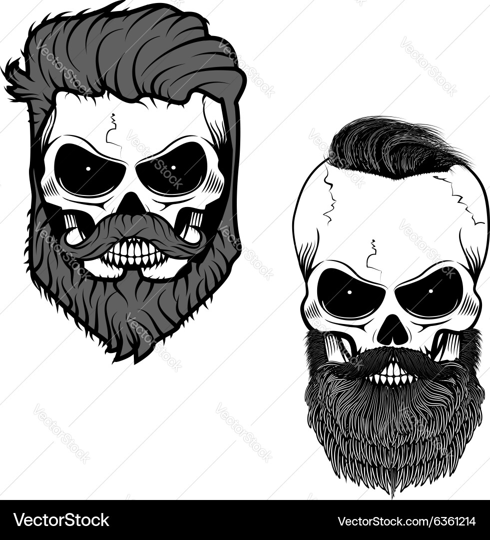 Beard skull Royalty Free Vector Image - VectorStock