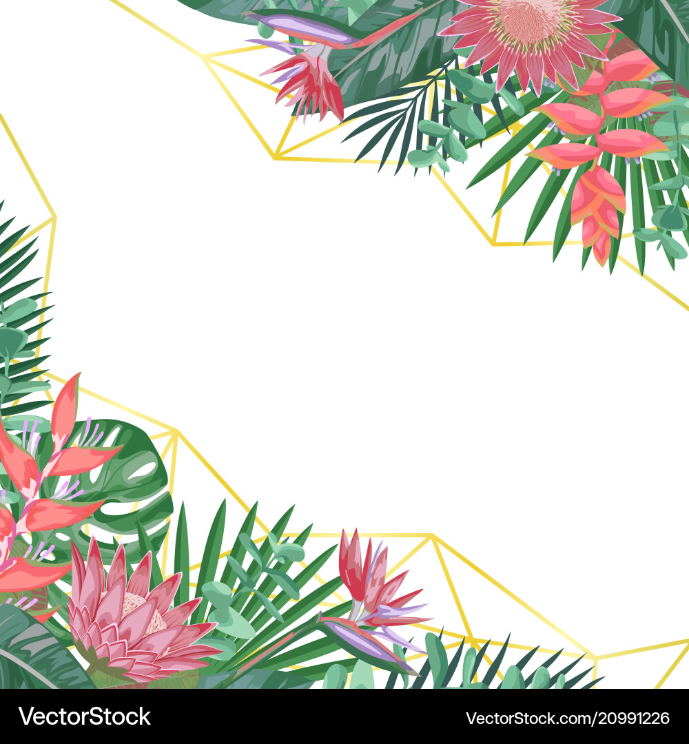 Tropical flower and geometric background Vector Image