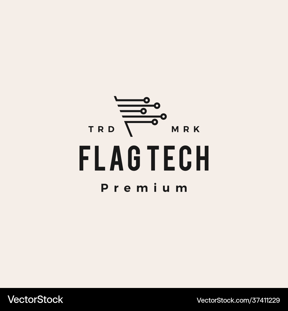 Flag tech digital hipster vintage logo icon Vector Image