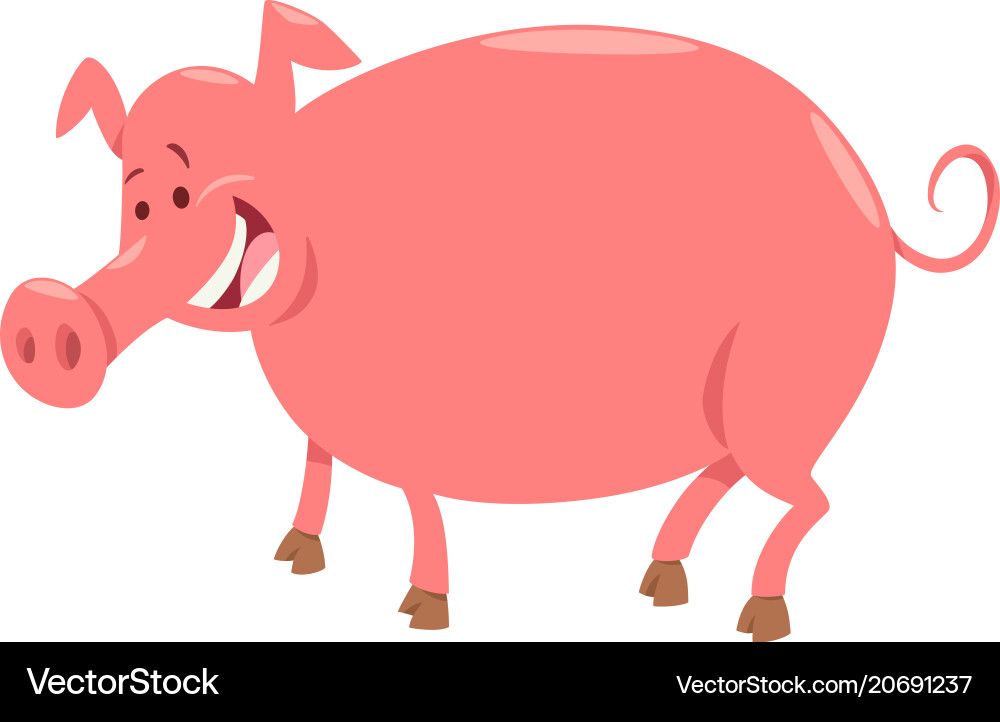 Pig farm animal character cartoon Royalty Free Vector Image