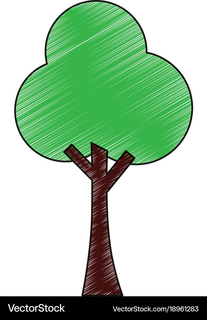 Single tree icon image Royalty Free Vector Image