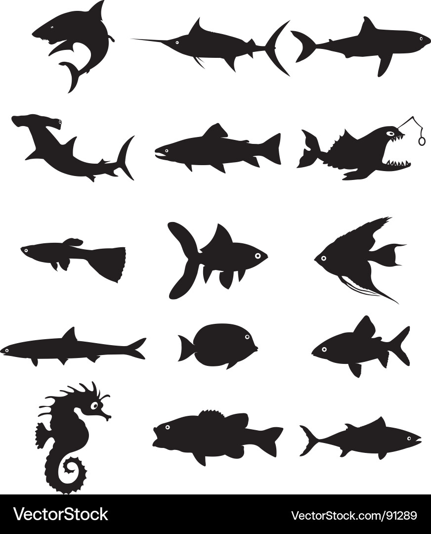 Fish silhouettes Royalty Free Vector Image - VectorStock