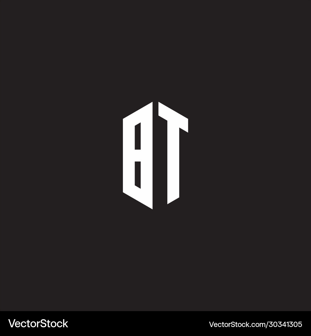 Bt logo monogram with hexagon shape style design Vector Image