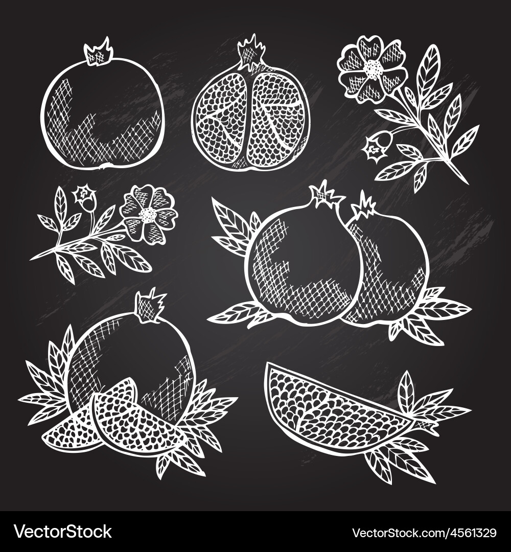 Hand drawn fruits Royalty Free Vector Image - VectorStock