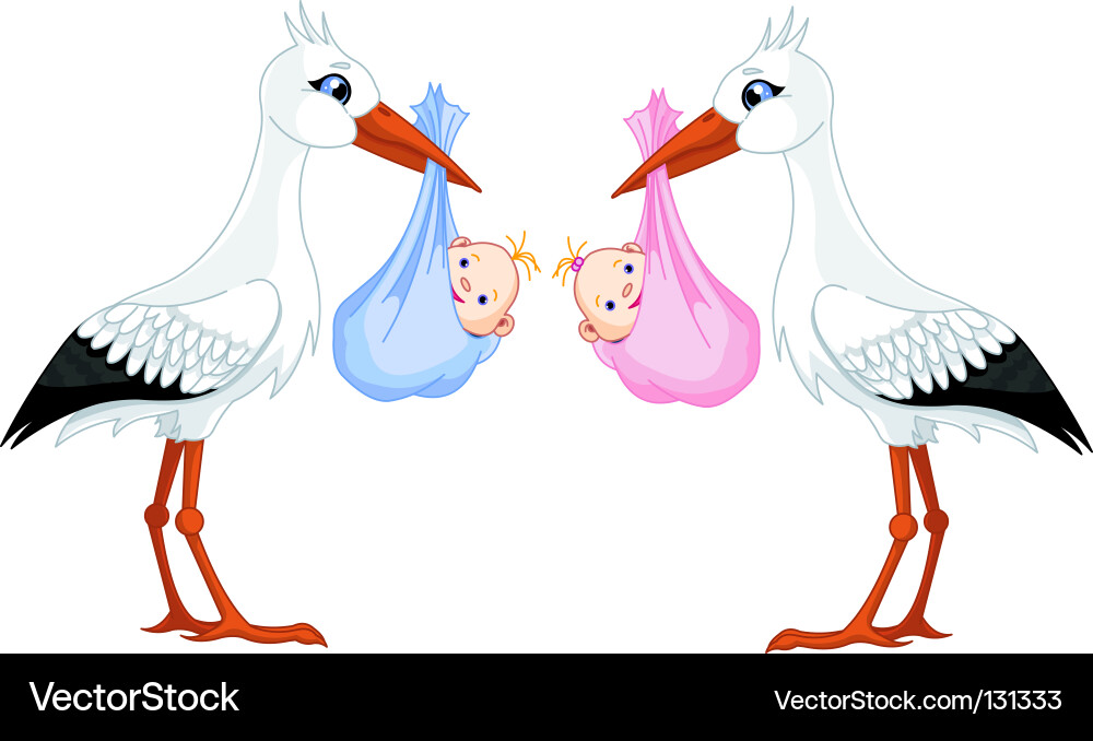 Stork baby Royalty Free Vector Image - VectorStock