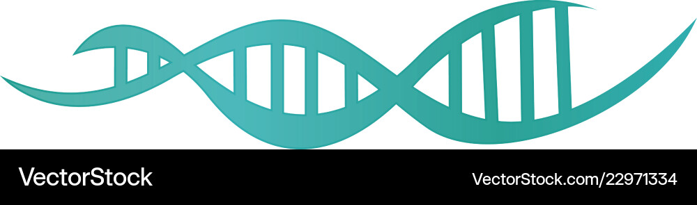 Dna strand teal Royalty Free Vector Image - VectorStock