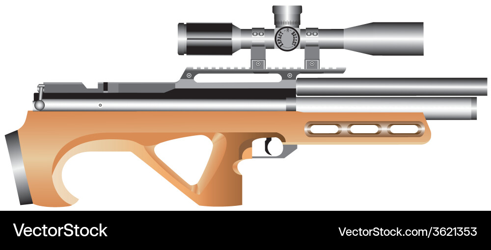 Air rifle Royalty Free Vector Image - VectorStock