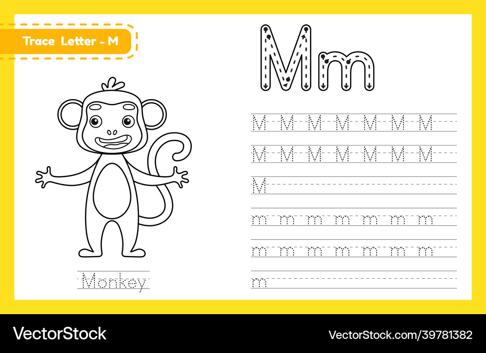 Trace letter m uppercase and lowercase alphabet Vector Image