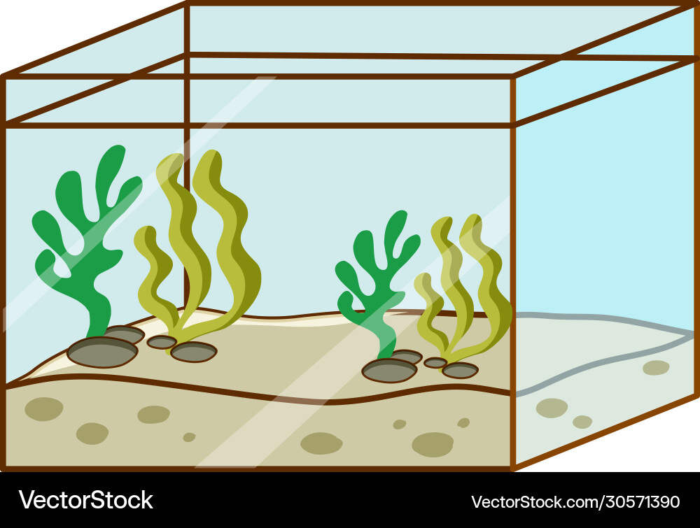 Fishtank with no fish inside on white background Vector Image
