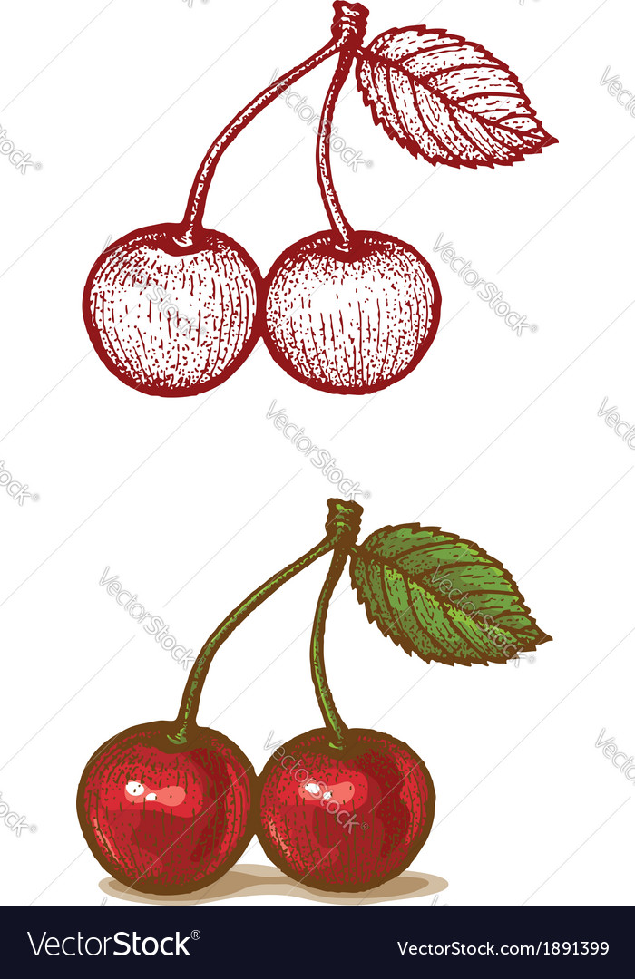 Cherry retro Royalty Free Vector Image - VectorStock