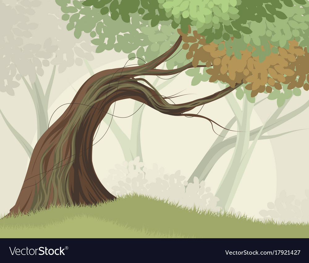 Vectors of Trees | Free Vector Graphics | Everypixel