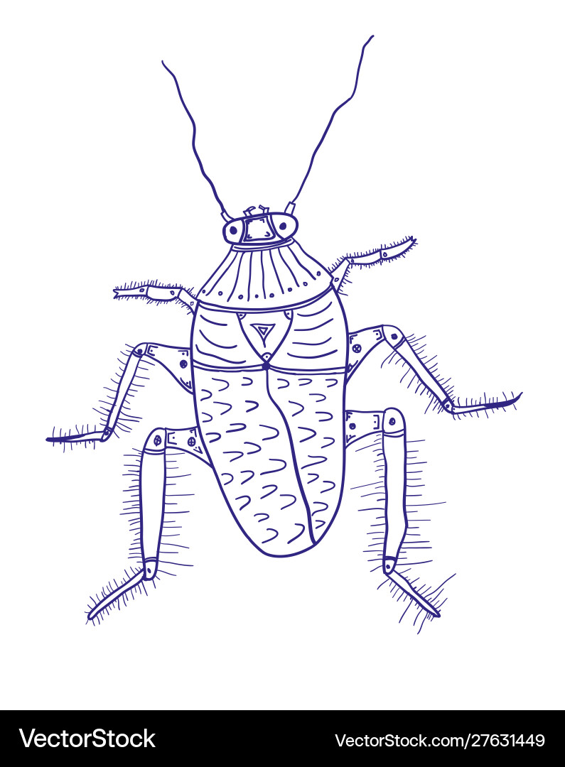 Humorous insect german cockroach Royalty Free Vector Image