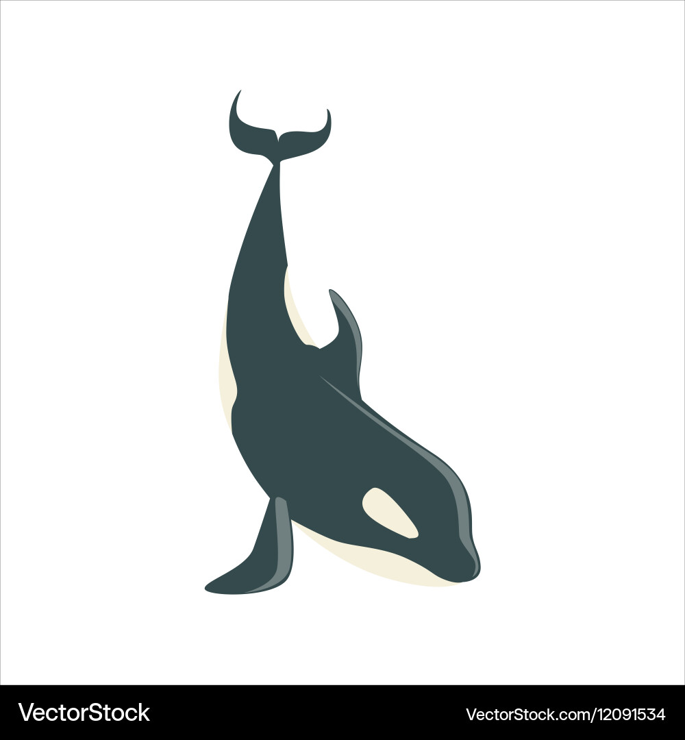 Orca Black And White Arctic Killer Whale Asking Vector Image