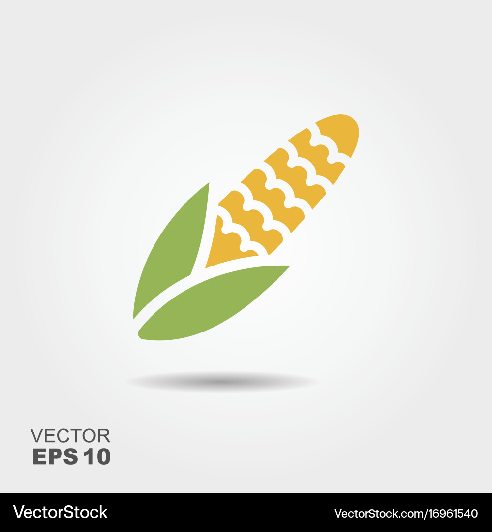 Maize corn flat icon colorful logo Royalty Free Vector Image