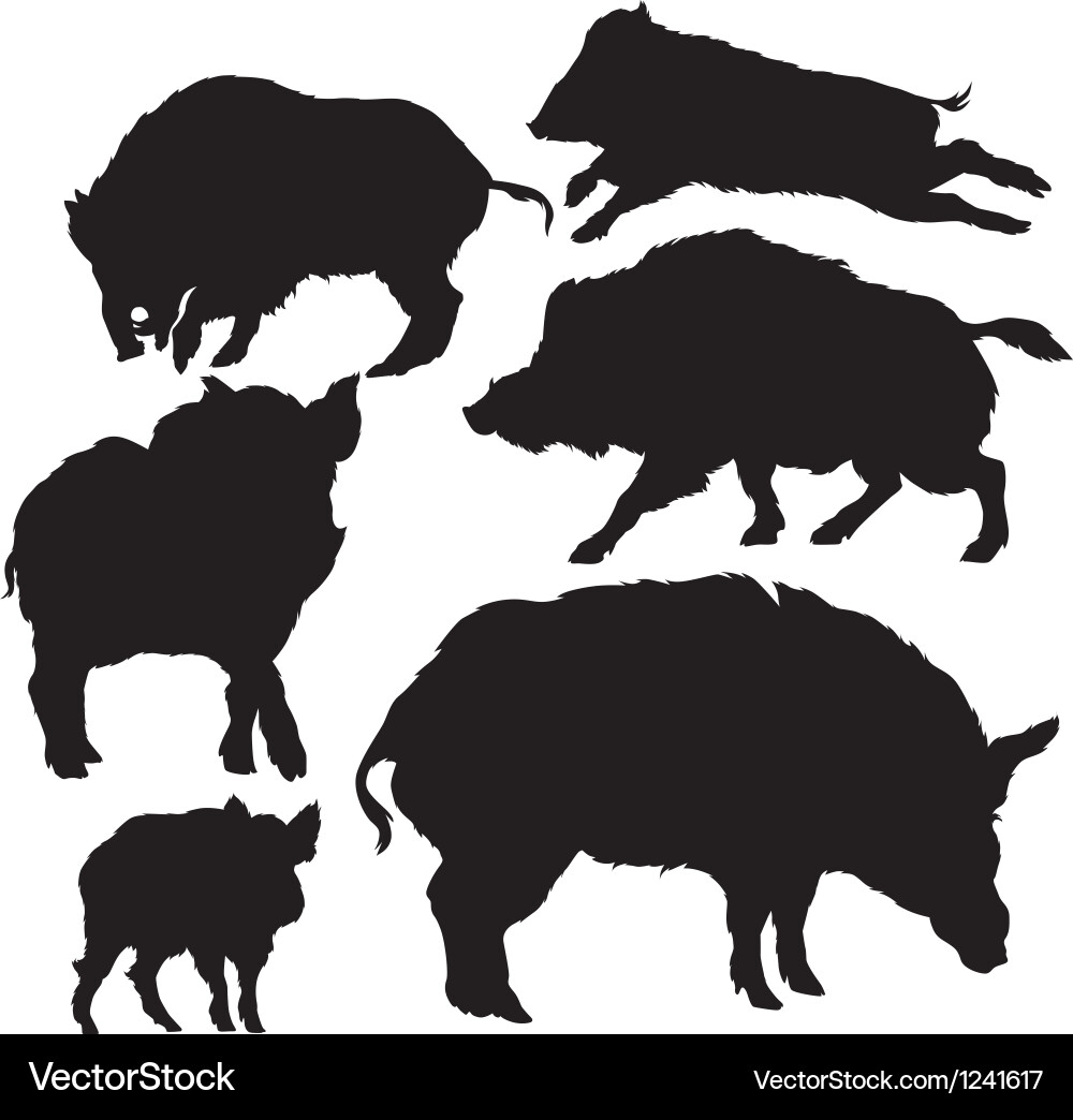 Wild boar silhouette Royalty Free Vector Image