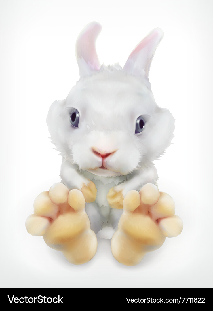 Cute white rabbit icon Royalty Free Vector Image