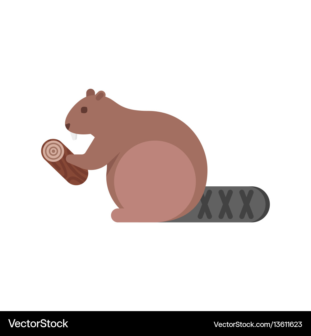 Flat style beaver Royalty Free Vector Image - VectorStock