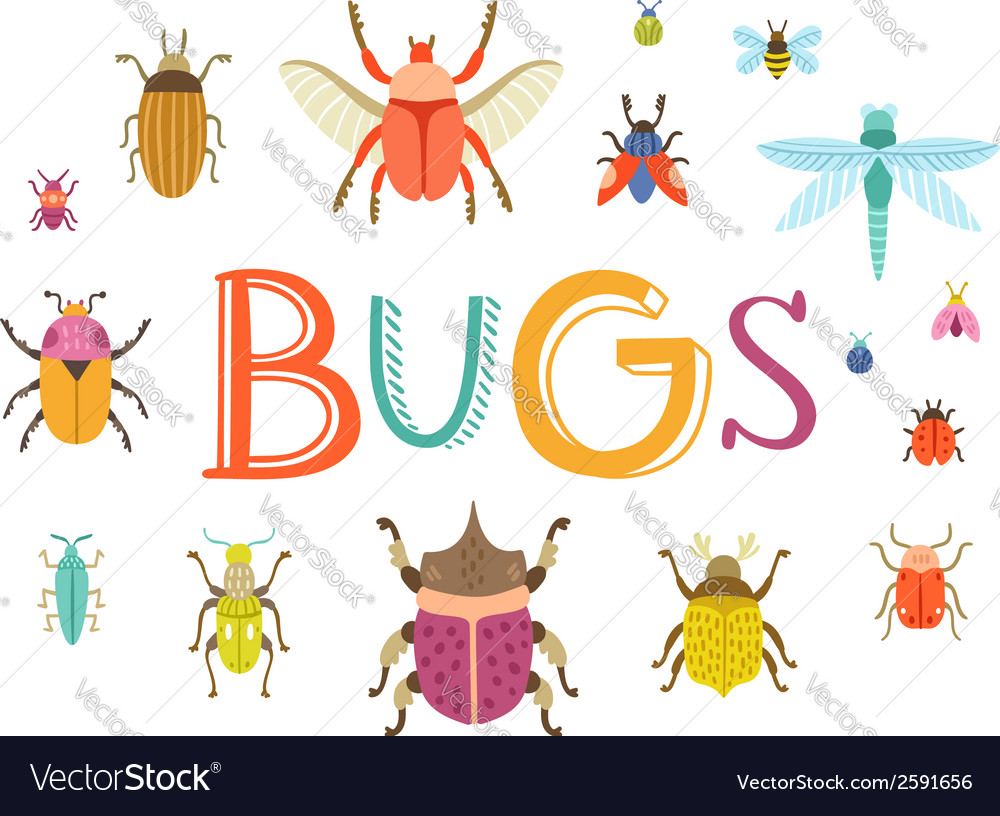 Bugs Royalty Free Vector Image - VectorStock