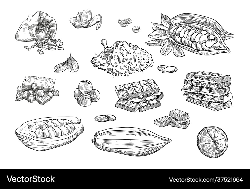 Chocolate elements hand drawn collection Vector Image