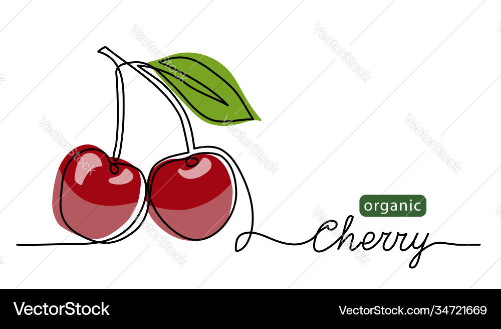 Cherry one line drawing art Royalty Free Vector Image