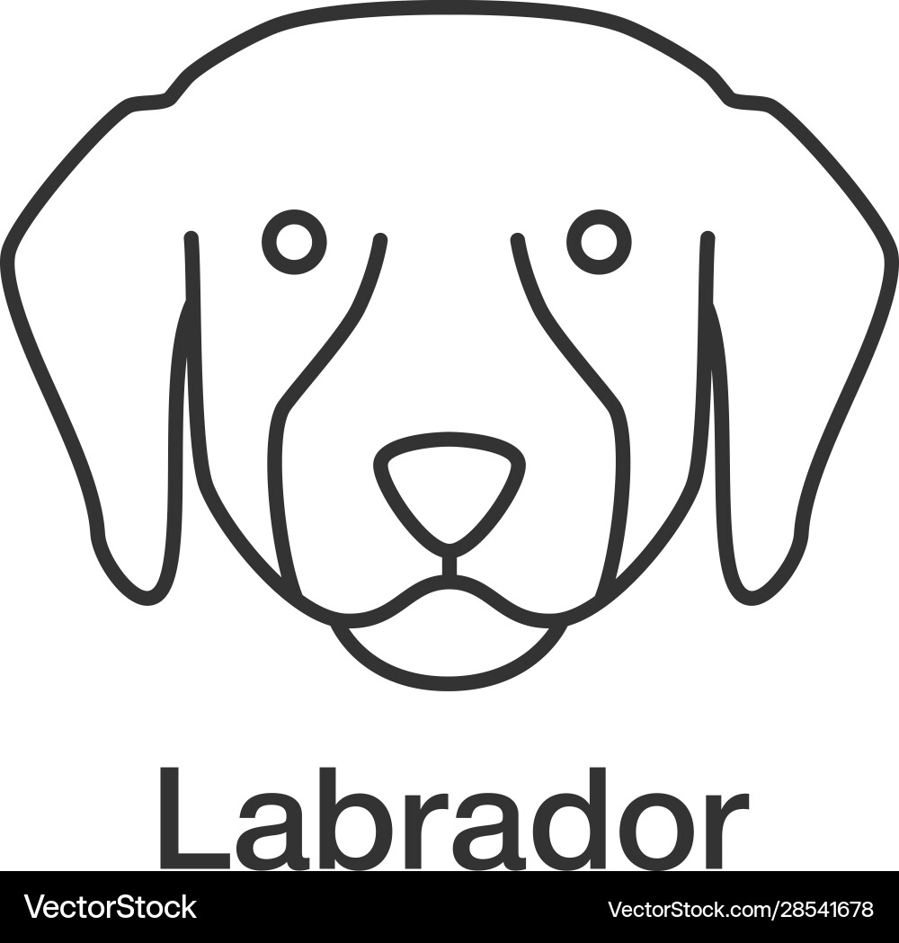 Labrador retriever linear icon Royalty Free Vector Image