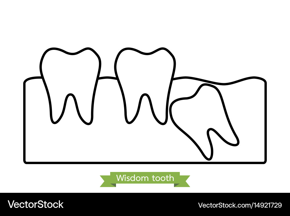Wisdom tooth - cartoon outline style Royalty Free Vector