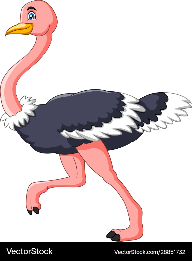 Cartoon cute ostrich running Royalty Free Vector Image