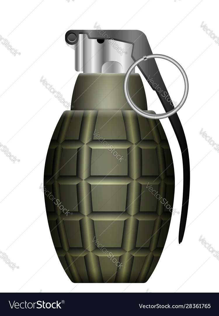 Grenade Royalty Free Vector Image - VectorStock