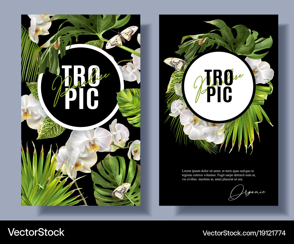 Tropic orchid banners Royalty Free Vector Image