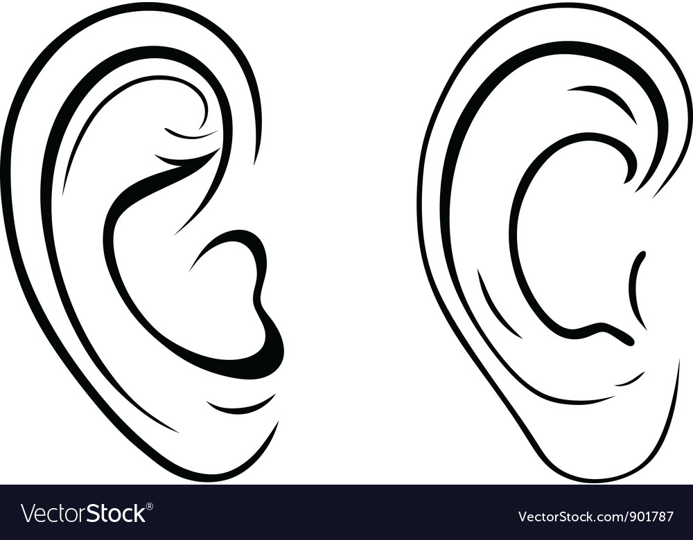 Human ear Royalty Free Vector Image - VectorStock