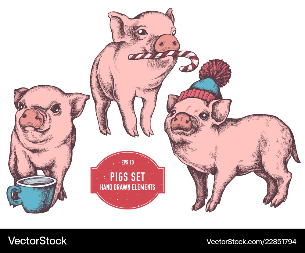 Collection hand drawn colored pigs Royalty Free Vector Image